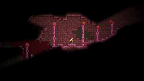 Flesh Caves - Starbounder - Starbound Wiki