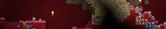Biome - Starbounder - Starbound Wiki
