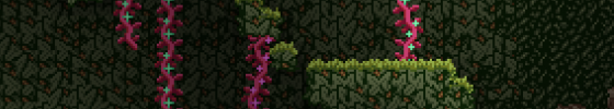 Biome - Starbounder - Starbound Wiki